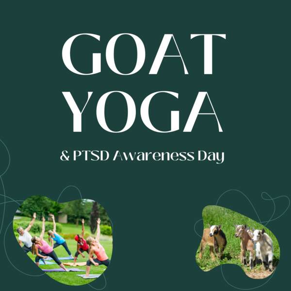 Goat Yoga - Durham • USO of North Carolina